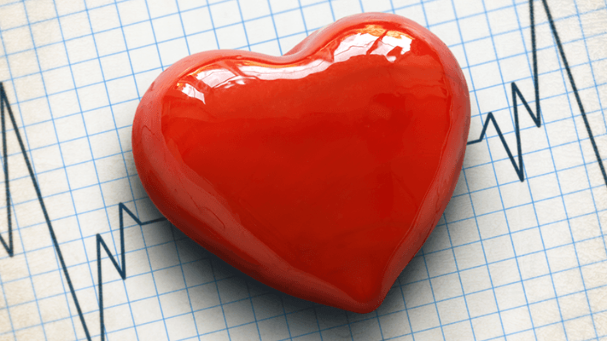 Impact Of Trans Fats, Air Pollution, and Microplastics on Heart Health ...