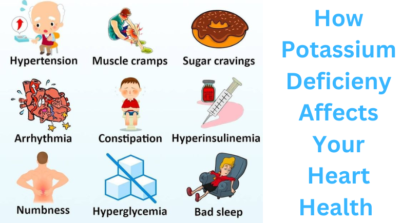 Understanding Potassium Deficiency and Its Effects on Your Heart