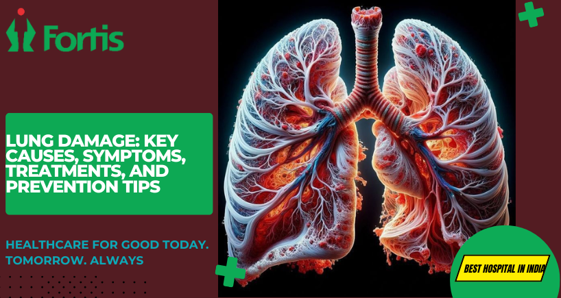 Lung Damage: Key Causes, Symptoms, Treatments, and Prevention Tips