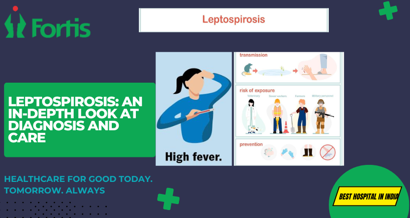Leptospirosis: An In-Depth Look at Diagnosis and Care