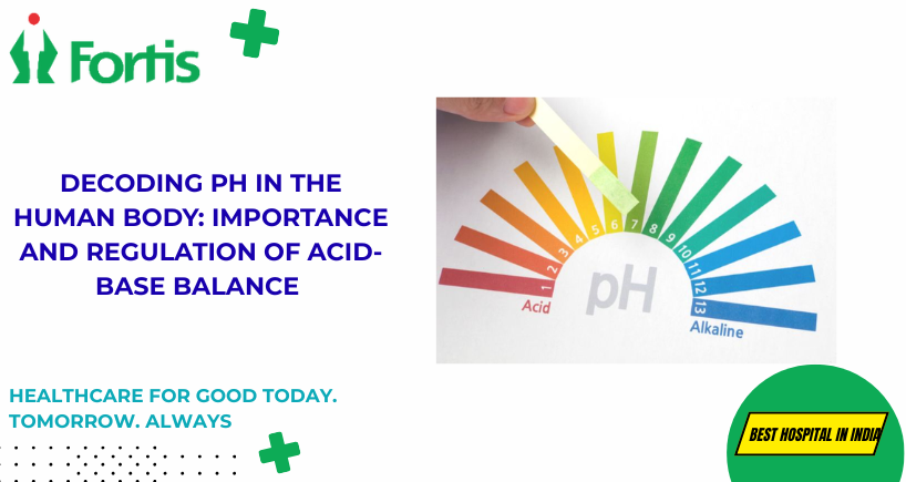 Decoding pH in the Human Body: Importance & Acid-Base Balance