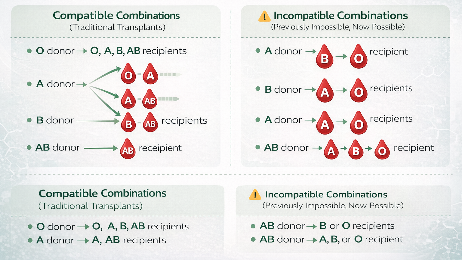 ABO Incompatible Kidney Transplantation - Breaking Barriers in Organ ...